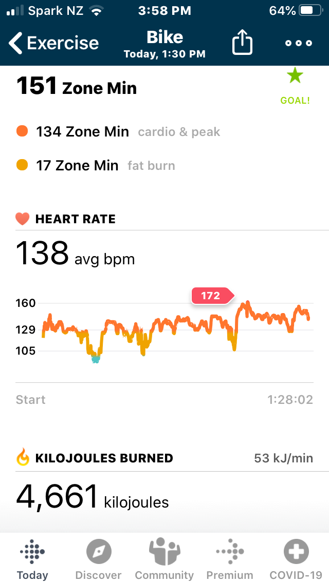 AZM on Fitbit - Min-Maxing your health stats IRL! - koru-cottage.com